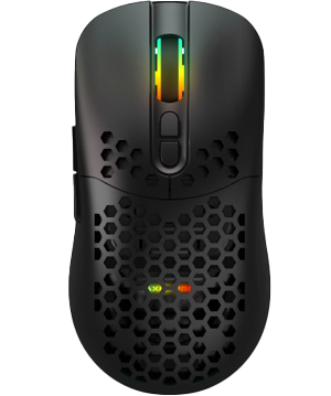 WellnessWise - AXEG Pro Mouse